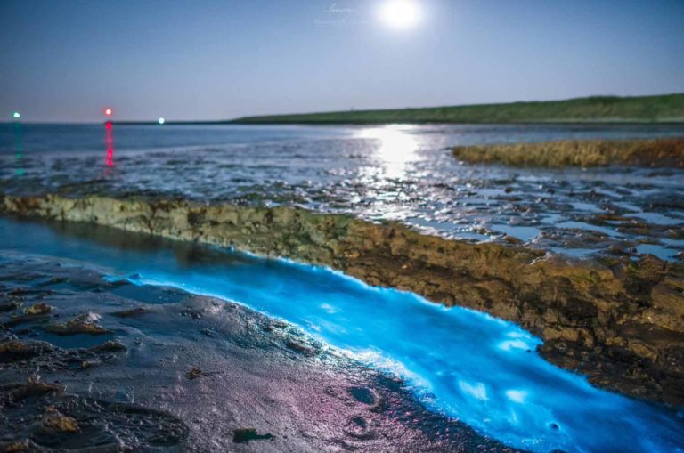 Zeevonk fotograferen: unieke lichtgevende wolken in zee